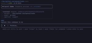 Open Codex CLI Made to Work with Gemini, OpenRouter - Rad Neurons